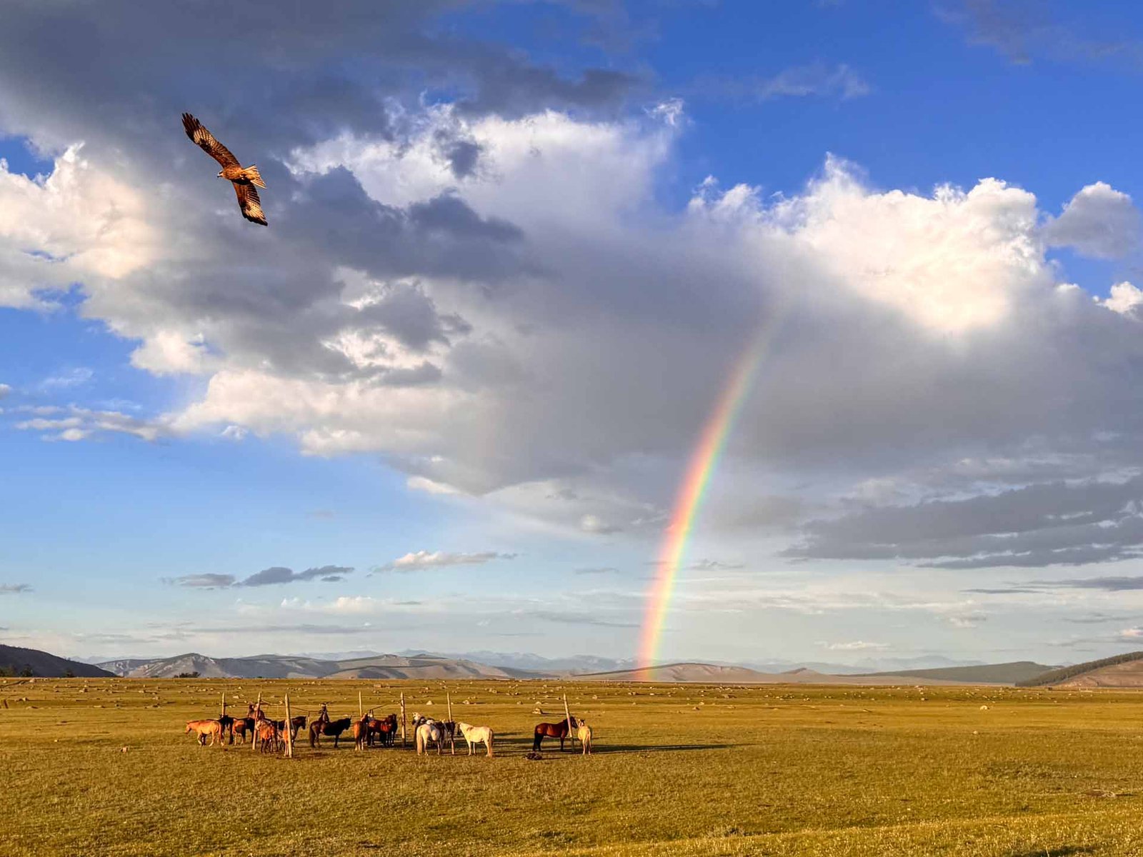 Taiga & Naadam Journey in Mongolia | Steppe & Soul